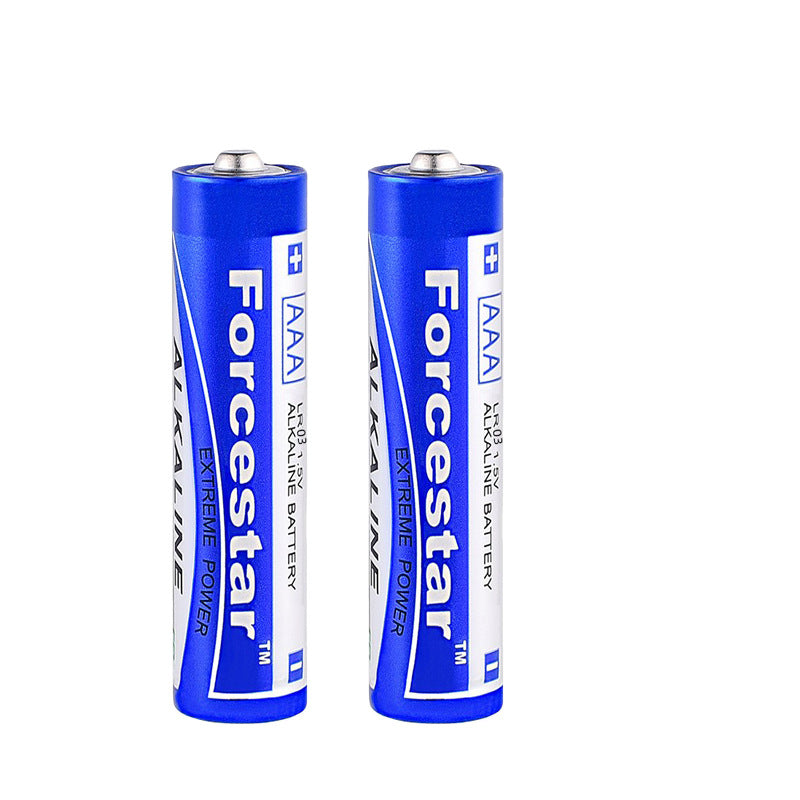 AAA Long Life Batteries
